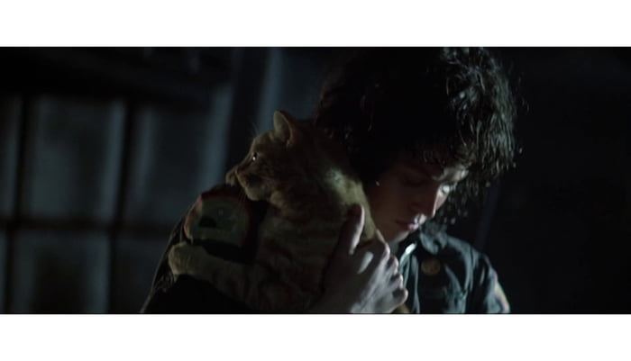 Sigourney Weaver With Jones The Cat In Aliens - 9GAG