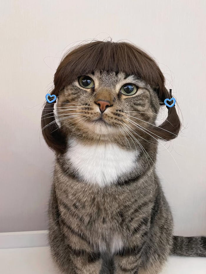 Just got this new wig for her, and now she’s all ready for school! - 9GAG