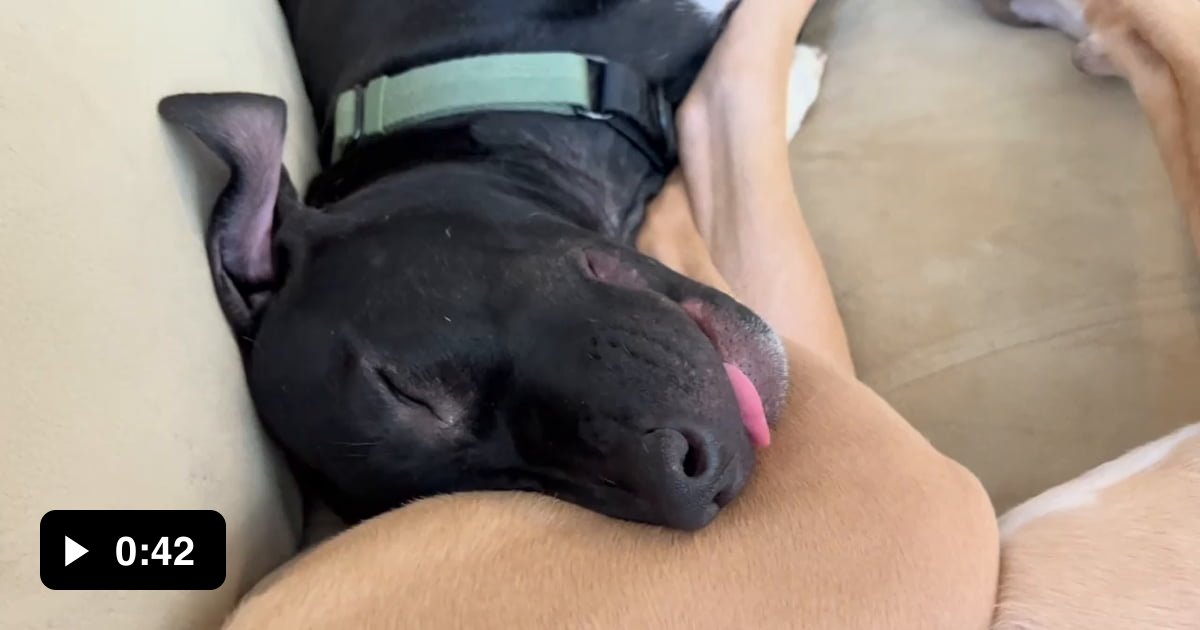 Her brain has a thin candy shell - 9GAG