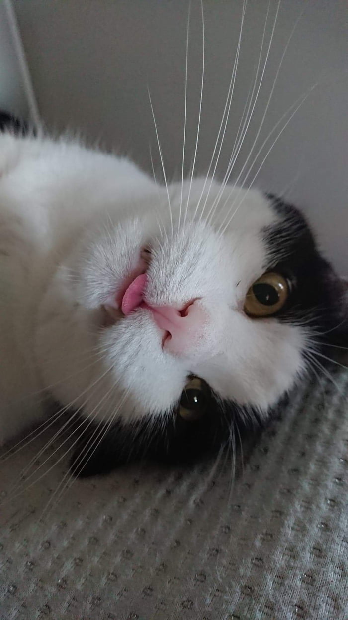 This is Minus - 9GAG