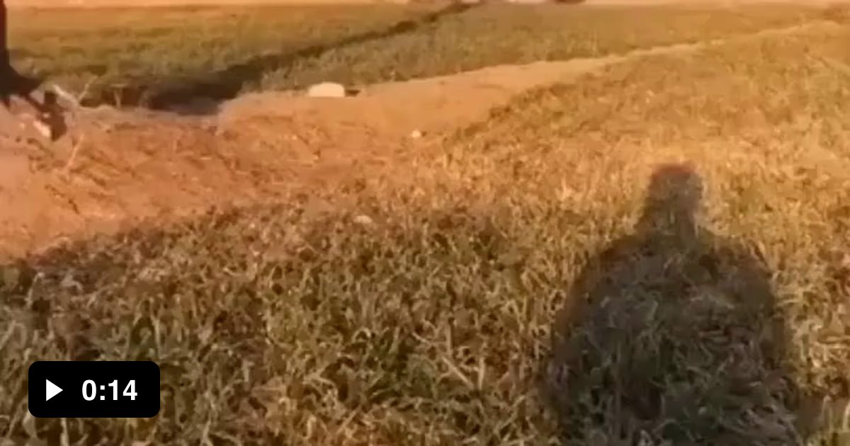 Impressive jump - 9GAG