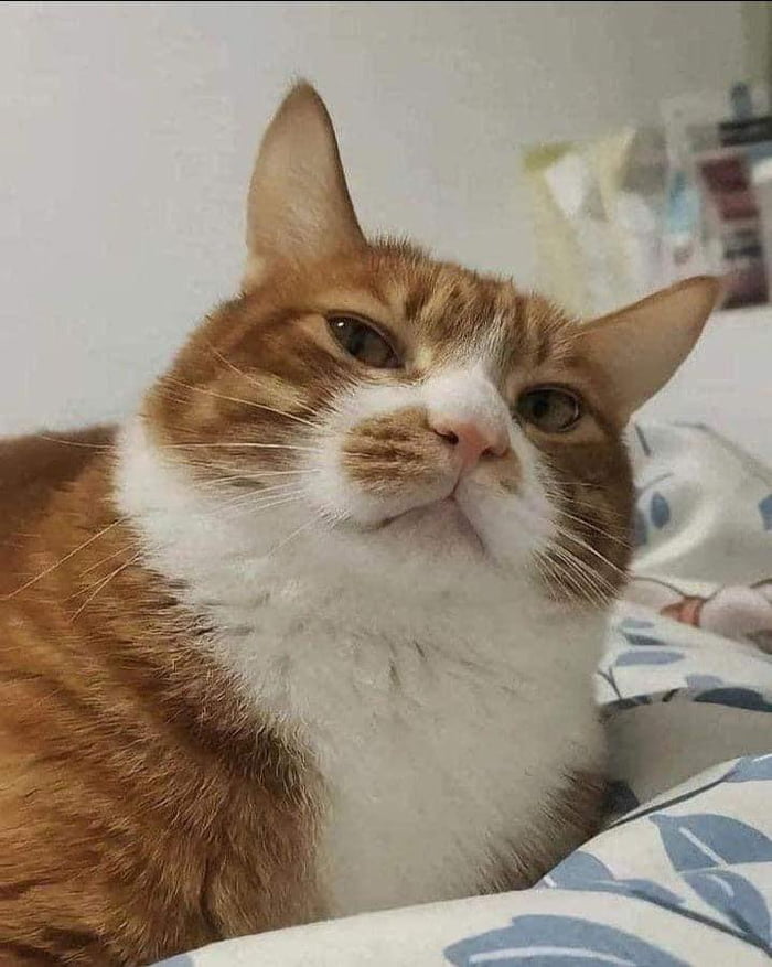 Is he judging me? - 9GAG