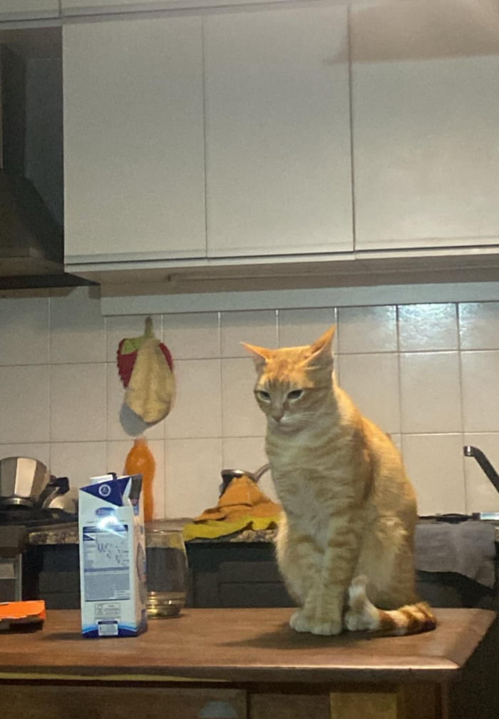 We woke him up from his nap - 9GAG