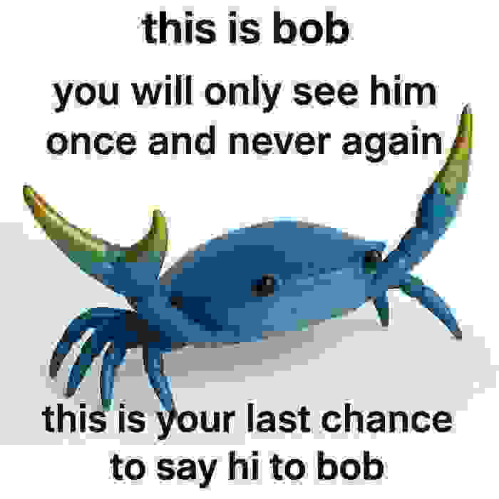 Bob lied to us, I saw him a million times already. Screw you Bob! - 9GAG