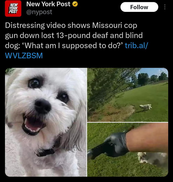 Yea what the f**k ? - 9GAG