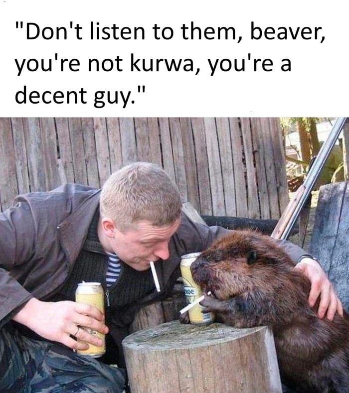 Don't hurt the beaver - 9GAG