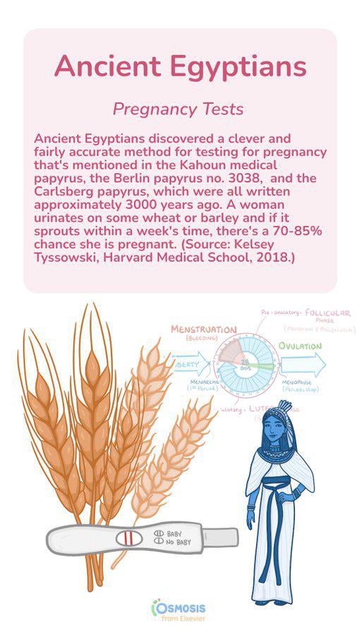 Ancient Egyptians tested for pregnancy by having potential moms urinate ...