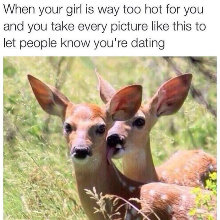 Proof of relationship... deer-style - 9GAG
