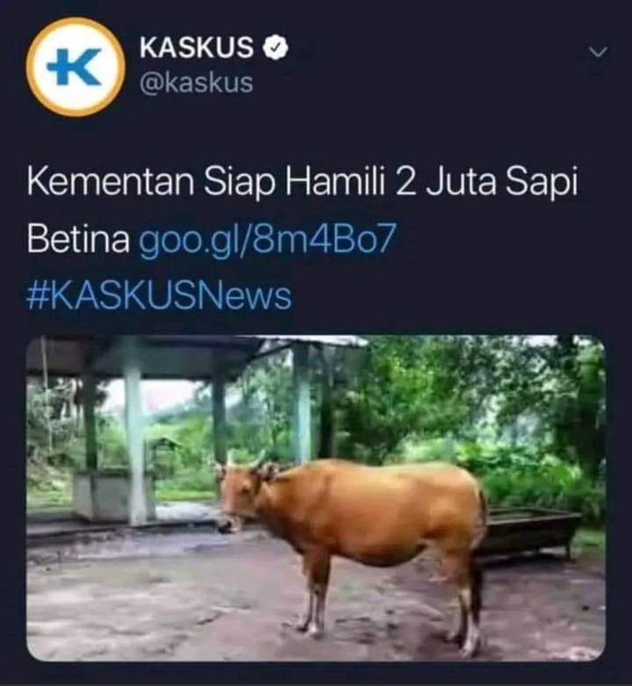 Kementan solid - 9GAG