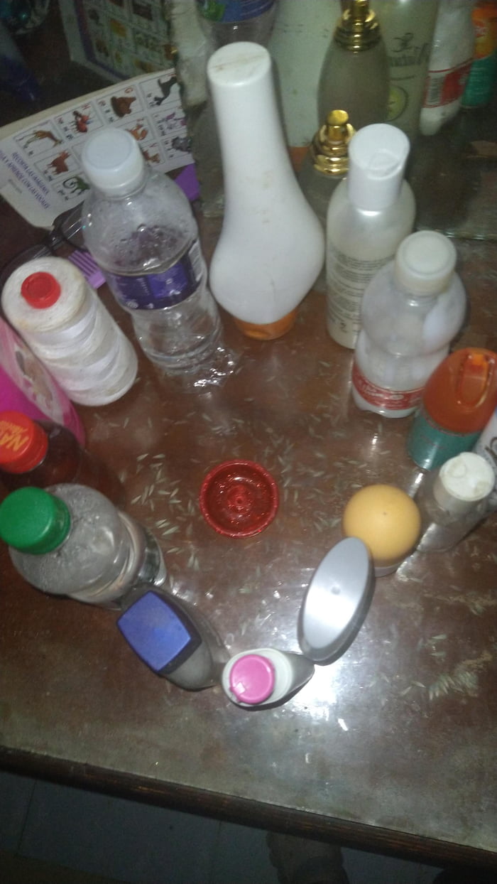 The object cult - 9GAG