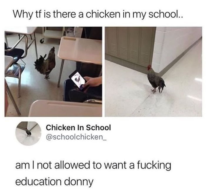 Yeah Donny, c’mon man! - 9GAG