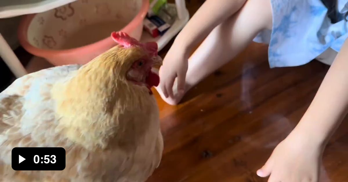 The meat is tender enough to release juice - 9GAG