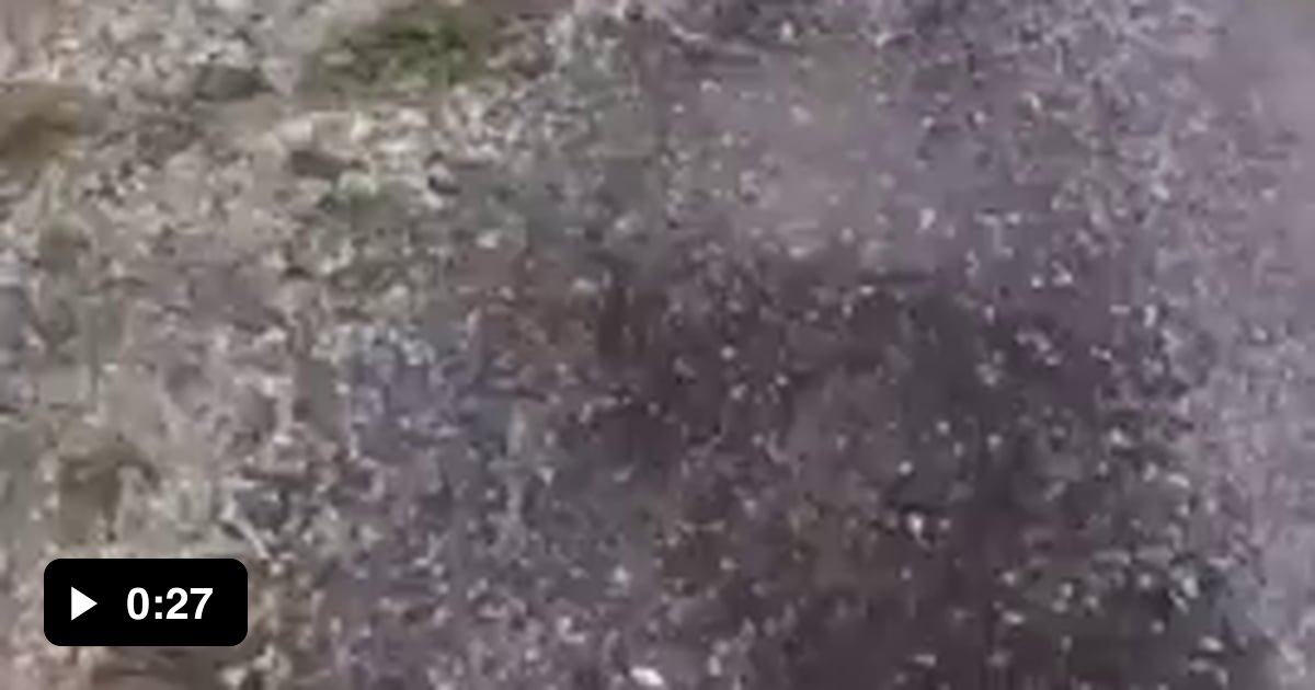 Make them (in) Famous - 9GAG