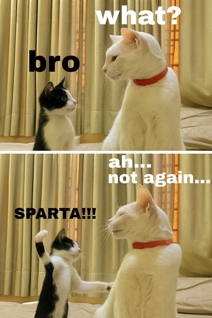Chaos lil bro vs Calm big bro - 9GAG