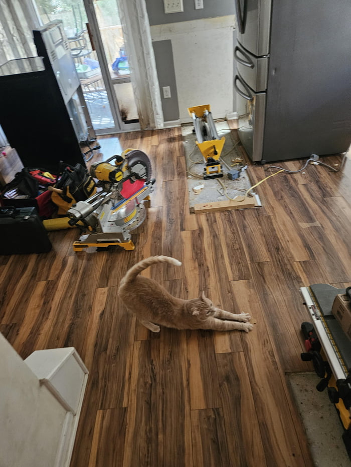 He wasn't scared one bit from all the construction. The crew wanted to give him a hard hat and ...