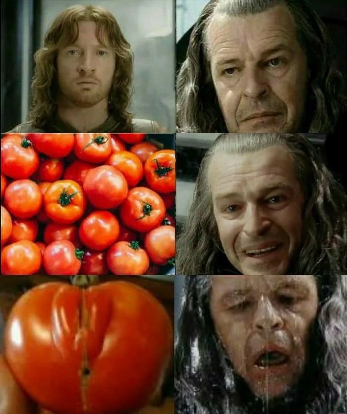 Denethor Gives A Meal Tomato-Appeal - 9GAG
