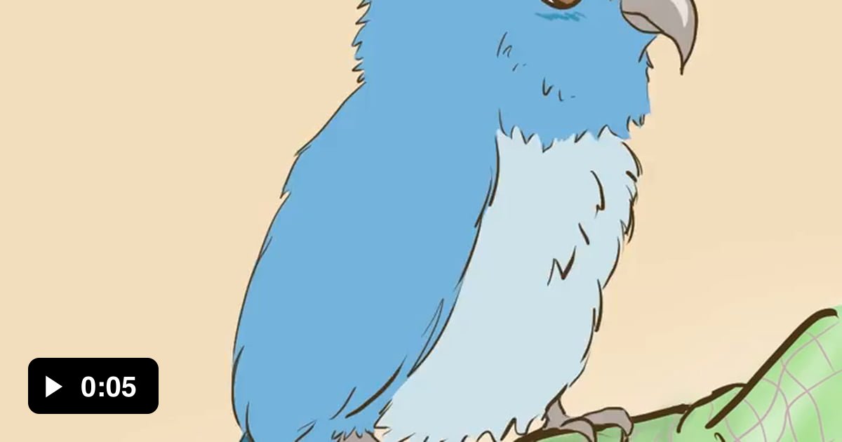 Wiggly birb Articuno - 9GAG