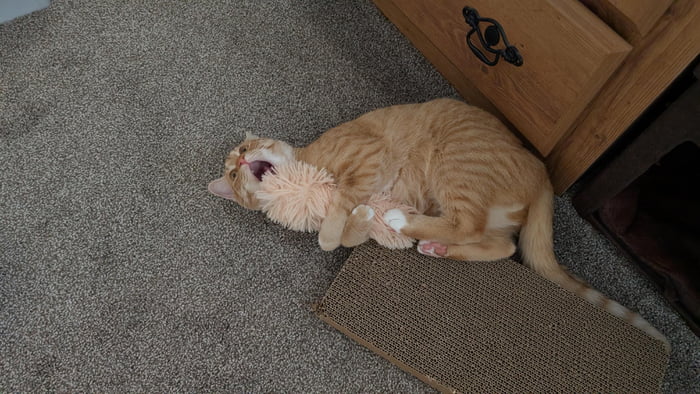 Are all oranges so...dramatic? 🧡 - 9GAG