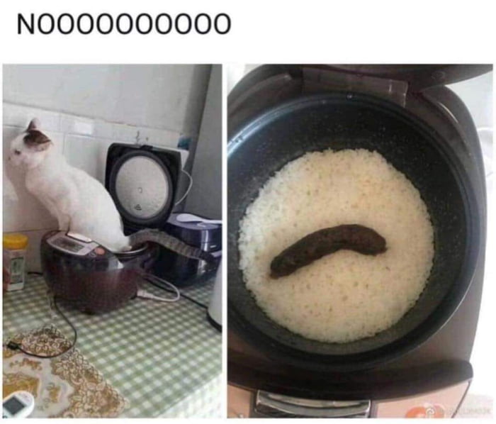 Literally...shitty food porn. Yum yum. - 9GAG