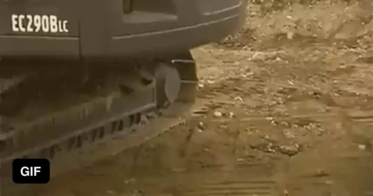 Birth of a backhoe loader. - 9GAG