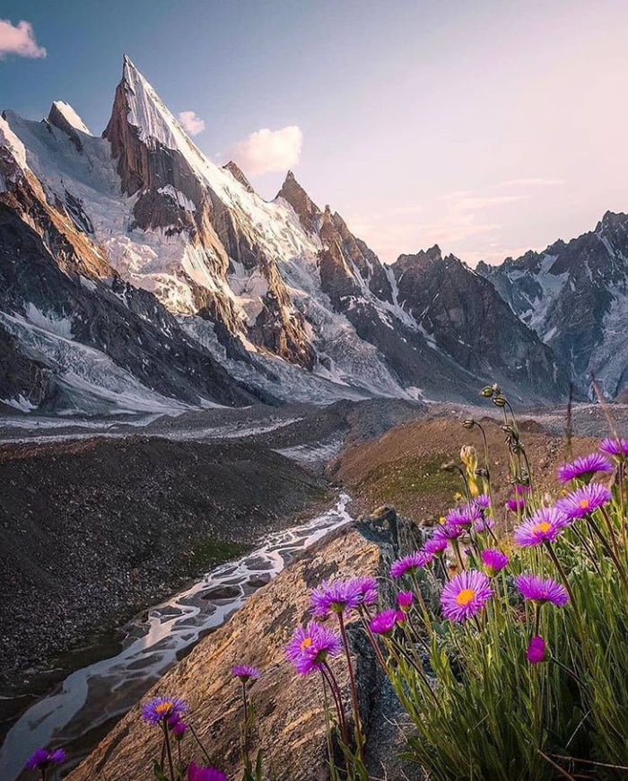 Laila Peak, with flowers... - Pakistan - 9GAG