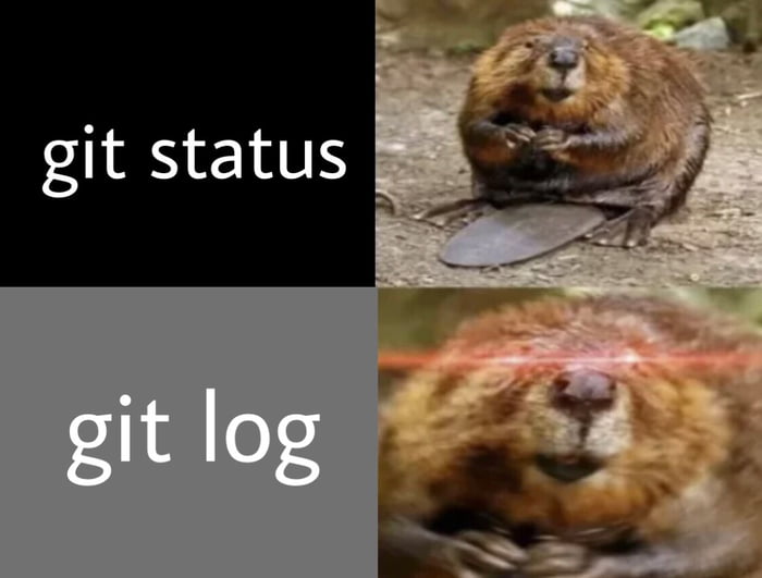 Git checkout this meme - 9GAG