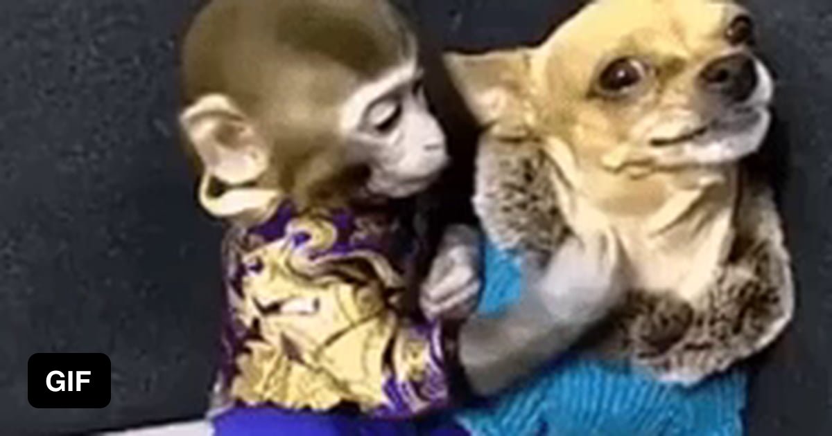 Hey... let me love you. - 9GAG