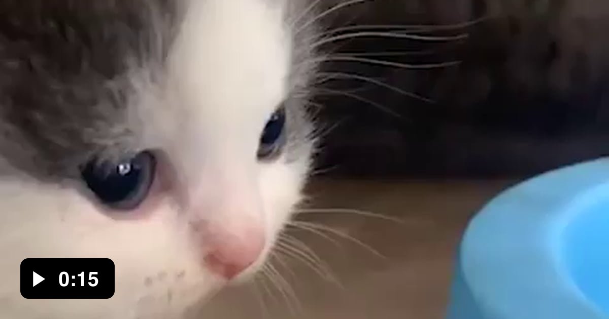 Explain ur smolness - 9GAG