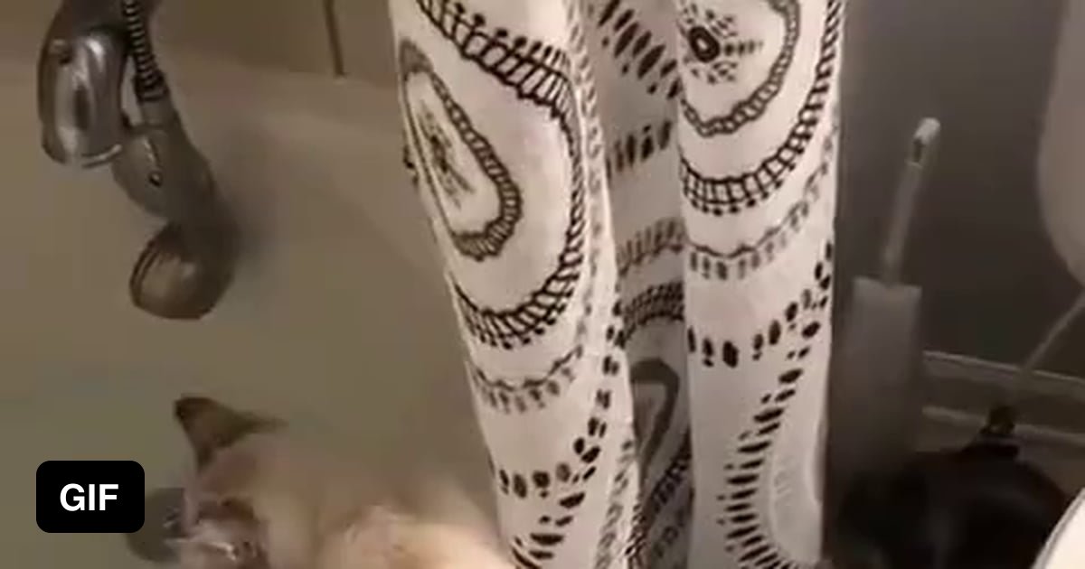 "In you go, brother!" - 9GAG