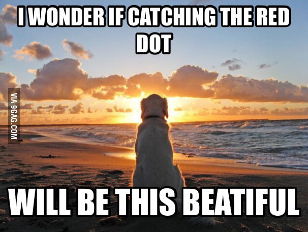 Deep Thought Dog - 9GAG