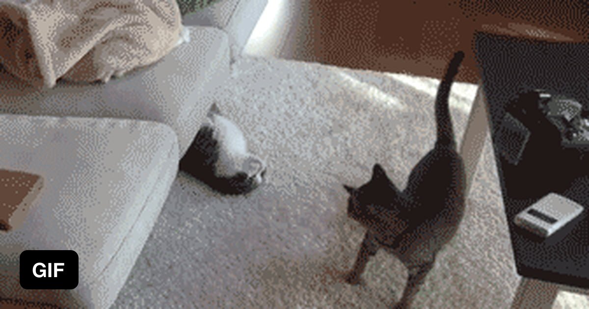 That's like a secret hug...! - 9GAG