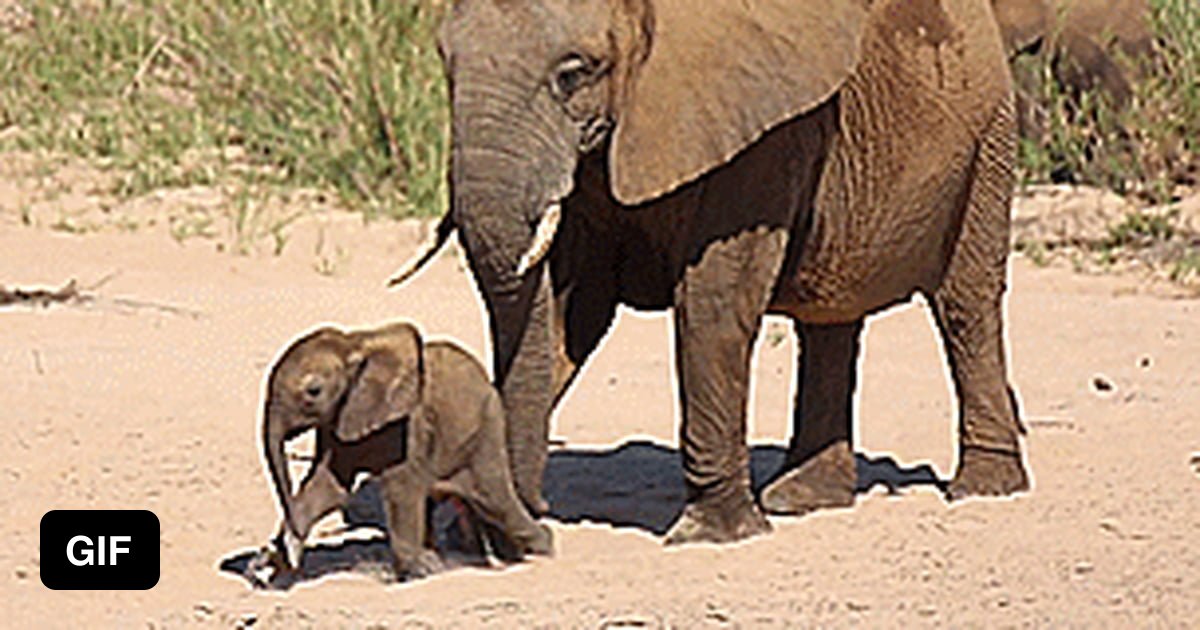 One little push and he's off! - 9GAG