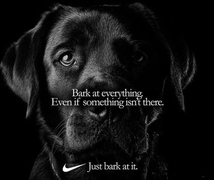 Is this polemical? - 9GAG