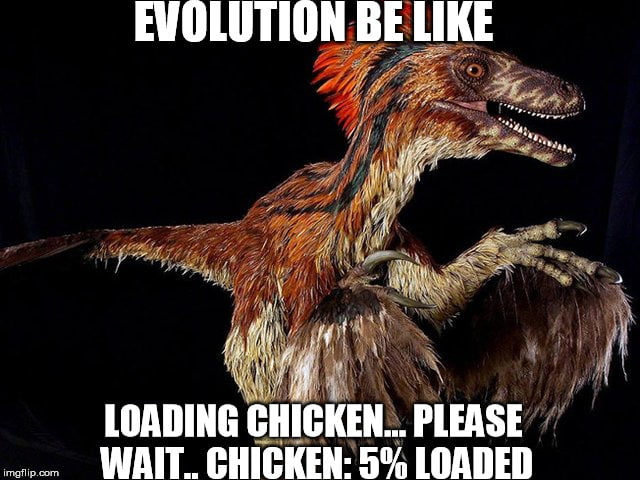 Egg or chicken? The Answer: The egg. Every chicken came out of an egg ...