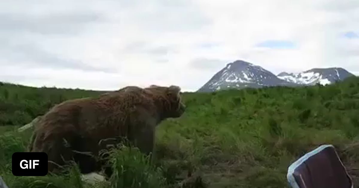 Wild floofer just wants to hang - 9GAG