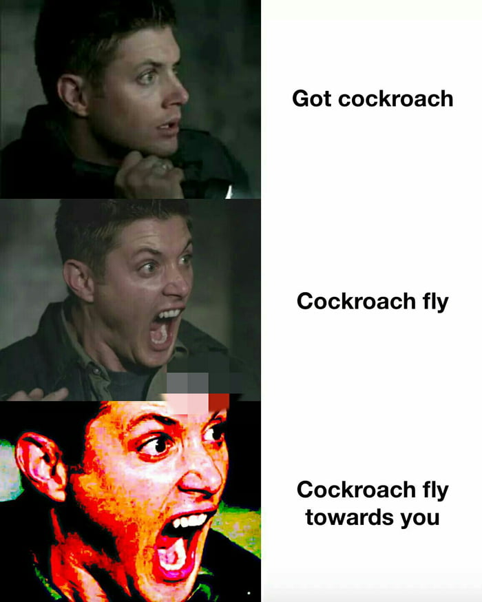 Cockroach is demon - 9GAG