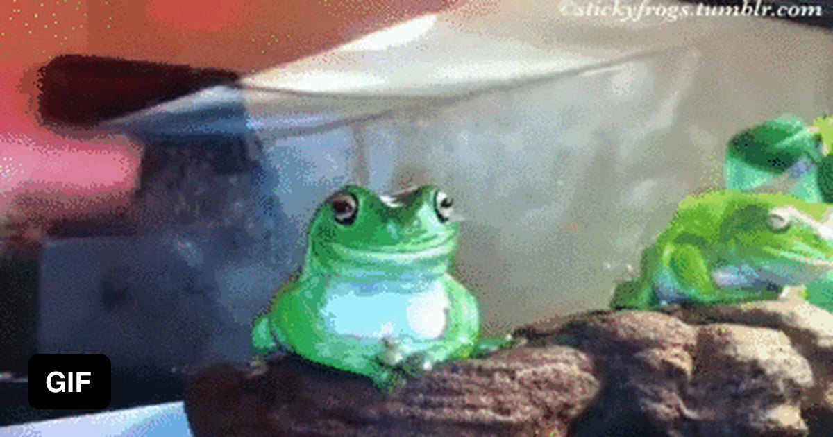 Frog Boop - 9GAG