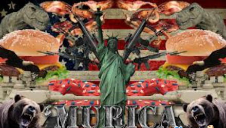 Searched for the “most American picture ever”, am not disappointed - 9GAG