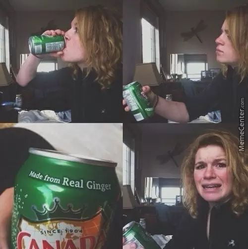 Made From Real Ginger - 9GAG