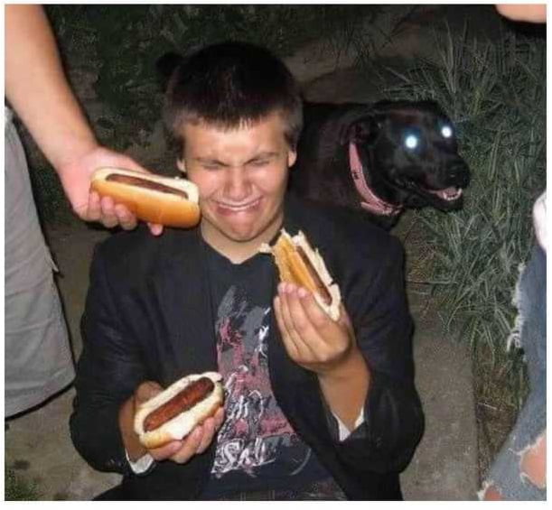 When you can't eat more hot dogs, but demonically possessed dog keeps ...