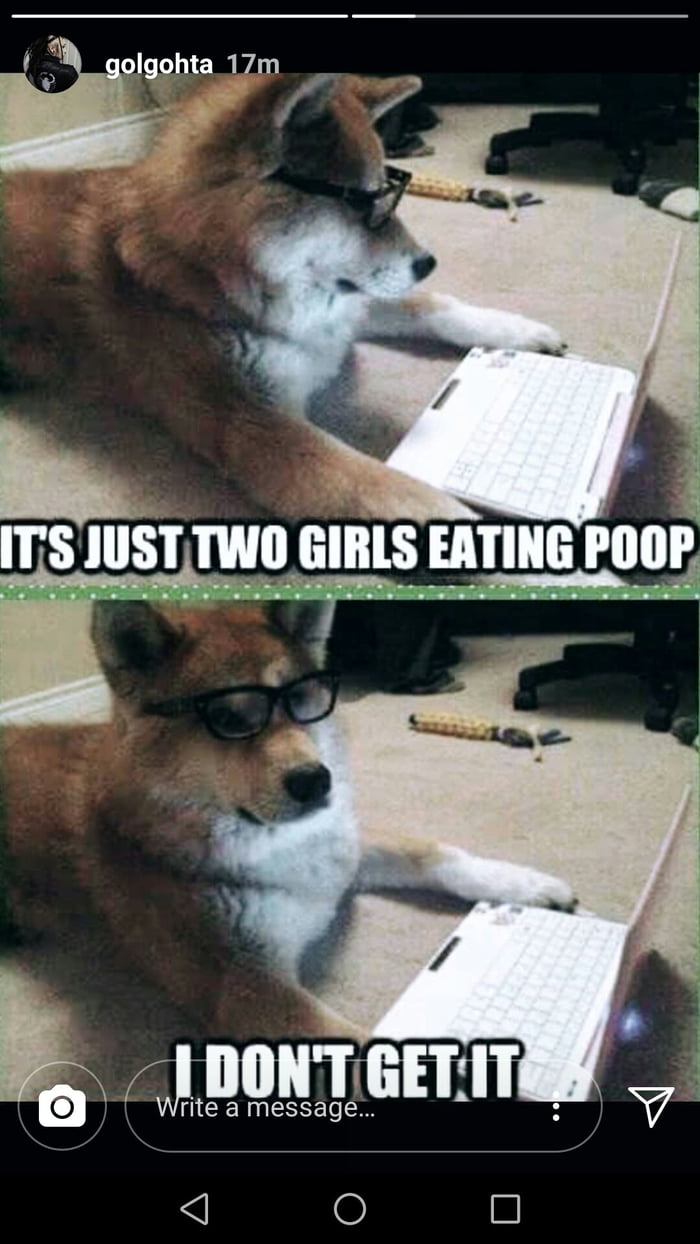 Confused doggo - 9GAG