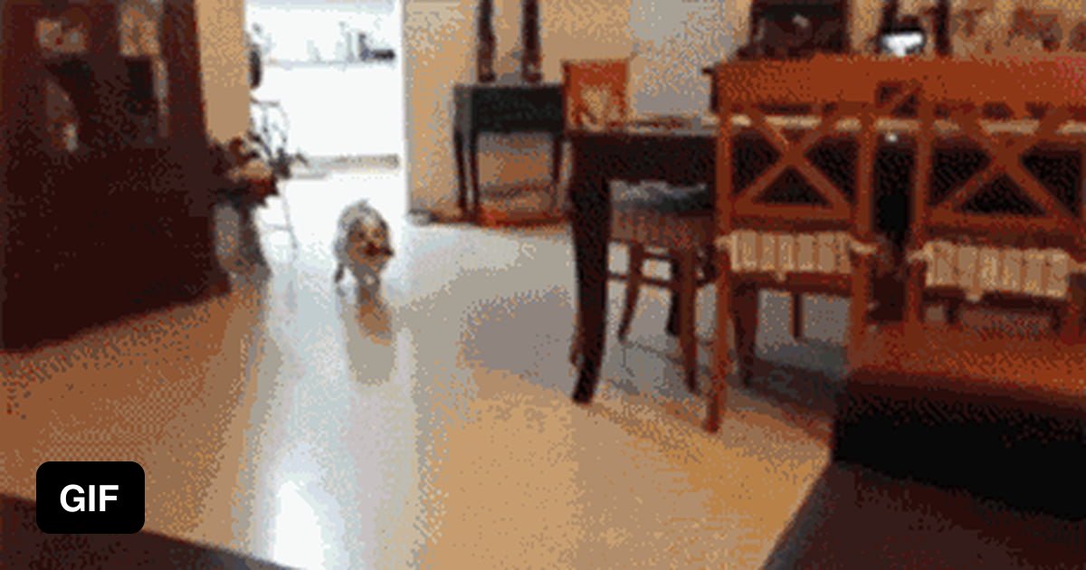 Heard you like wasted GIFS - 9GAG