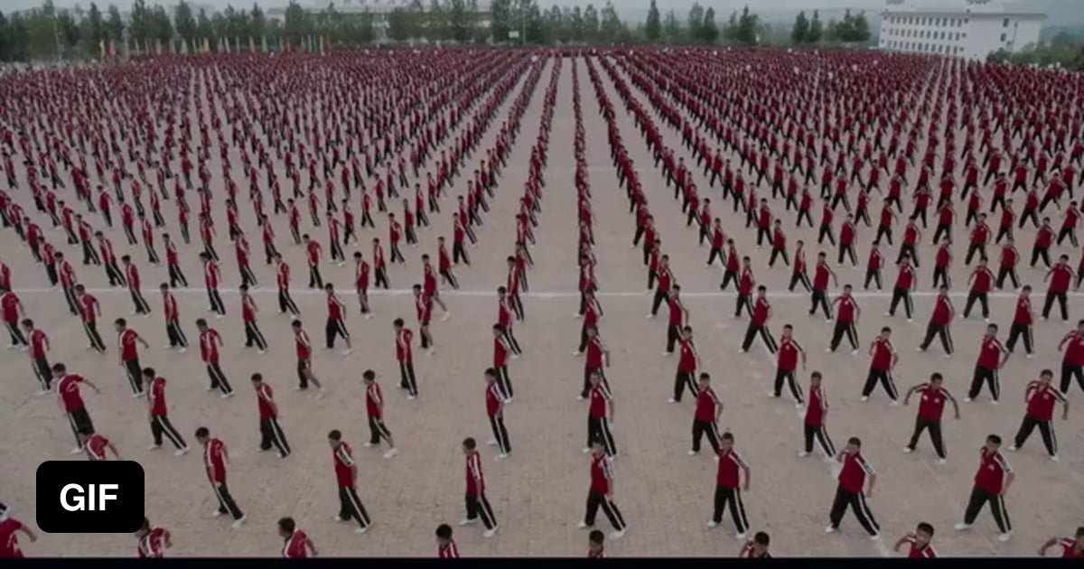 Synchronized Kung Fu - 9GAG