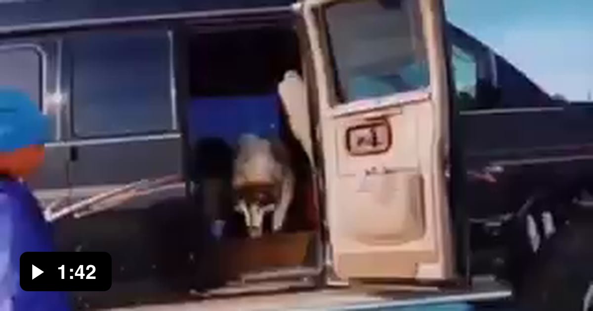 Come here big boy - 9GAG