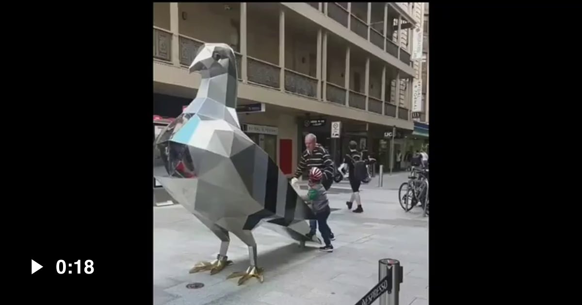 Rundle Mall (Adelaide, SA) Got a Giant Metal Pigeon today, took 4h ...