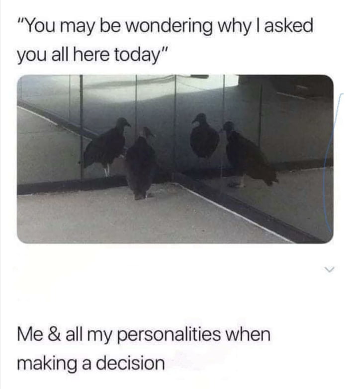 I need some expert advice - 9GAG