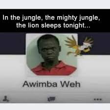 In the jungle, the mighty jungle the lion sleeps tonight.. now ...