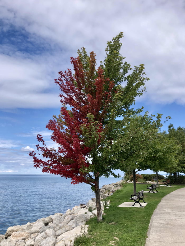 Fall is just around the corner - 9GAG