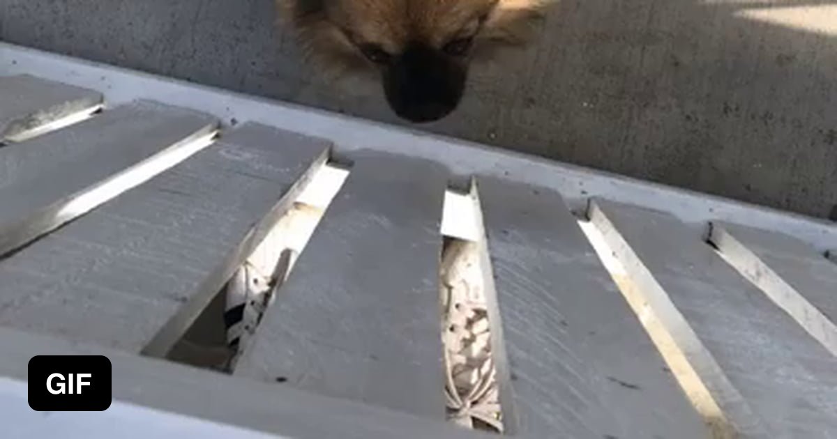 Vertical tippy taps - 9GAG
