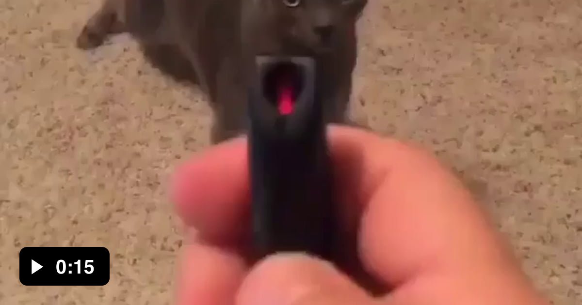 Maaaaa! That f**king red dot is back! - 9GAG